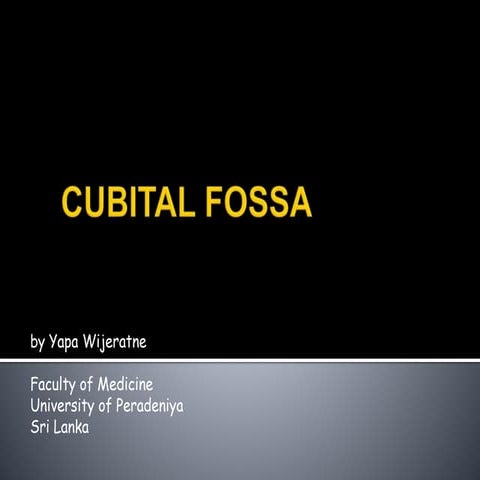 Anatomy of Cubital fossa | PPTX