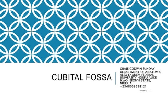 CUBITAL FOSSA.pptx