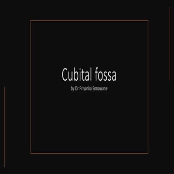 Exploring the Anatomy and Clinical Importance of the Cubital Fossa: A ...
