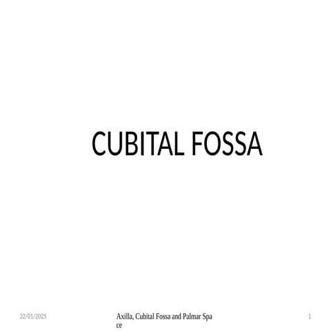 CUBITAL FOSSA.pptx