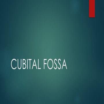 CUBITAL FOSSA.pptx