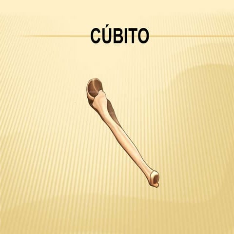Cubito | PPTX