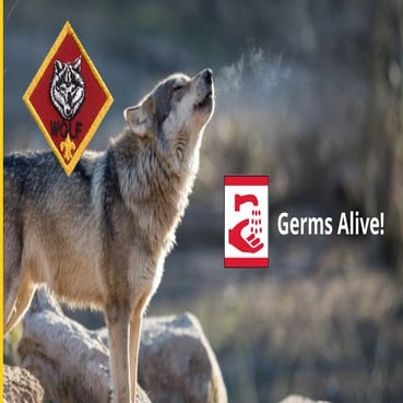 Cub Scouts Germs Alive Adventure Loop Presentation | PPT