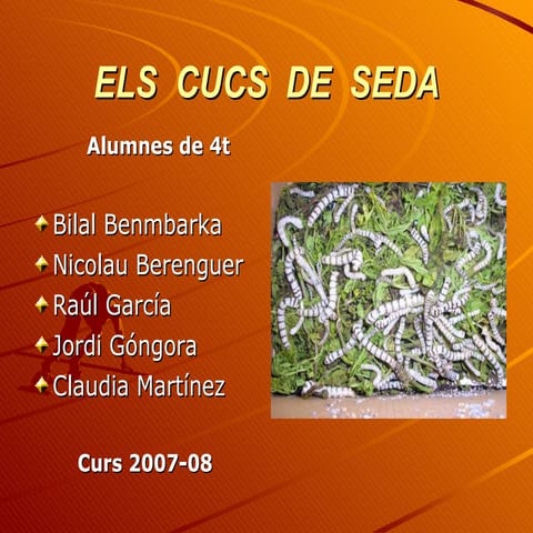 Cucs De Seda | PPT