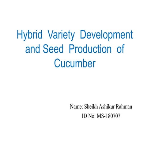 Cucumber | PPTX | Beekeeping | Hobbies & Interests