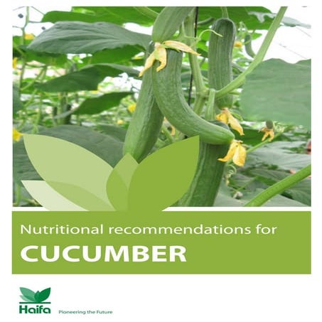 Cucumber Crop Guide - Cucumber Fertilizer | PDF