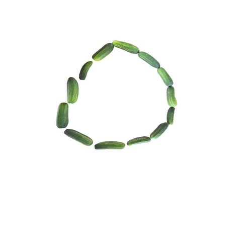 Alphabet: Cucumber | PDF