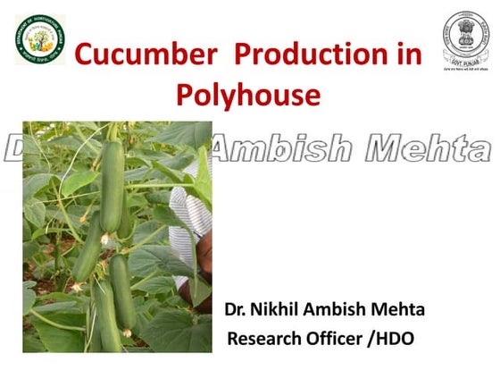 Vermicomposting | PDF