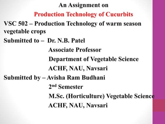 Production technology of Cucumber | PPTX