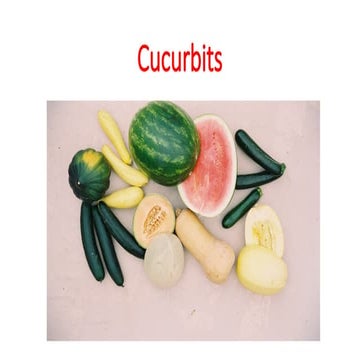 cucurbits production technology for agriculture).pptx