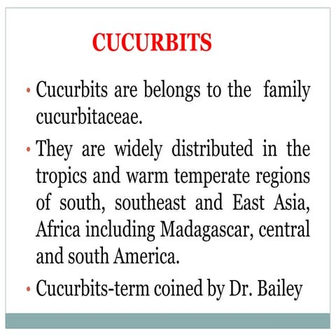 Cucumber | PPT