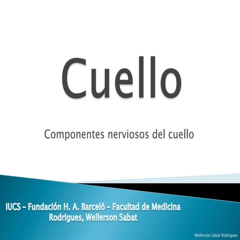 Cuello - Componentes Nerviosos | PPTX