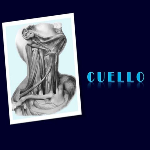 Límites del cuello | PPTX