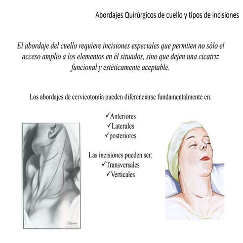 cuello.pptx