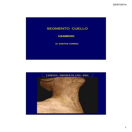 Cuello 2015 | PDF