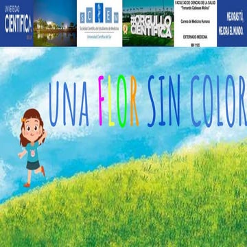 CUENTO UNA FLOR SIN COLOR | PPTX
