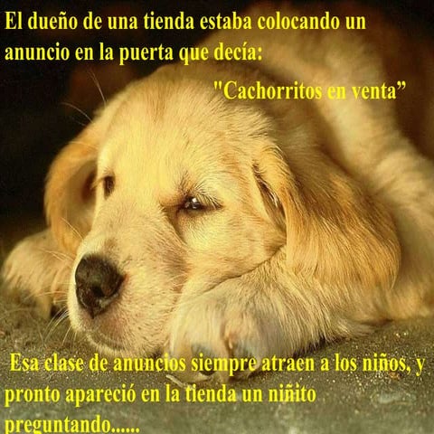 Cuento Perrito Cojo | PPS