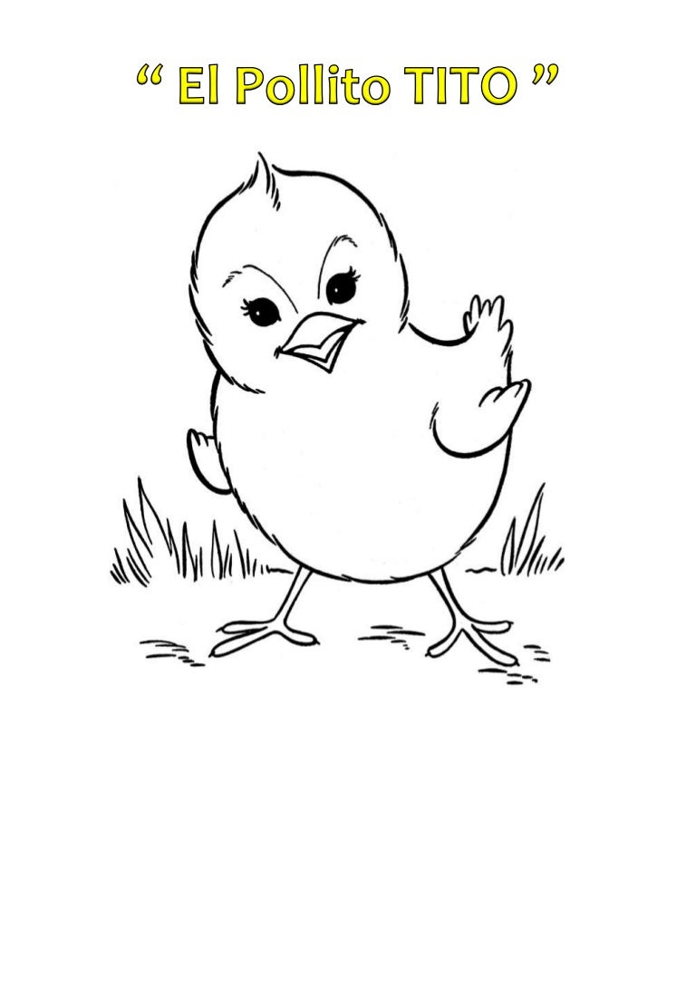 Cuento el pollito tito
