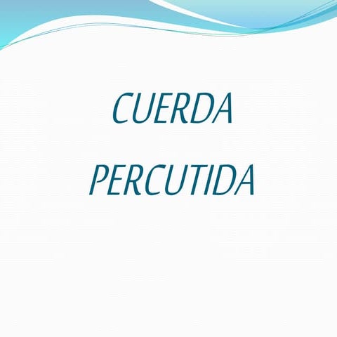 Familias de instrumentos: Cuerda percutida. | PPTX