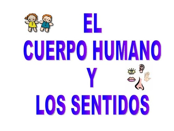 Cuerpo Y Sentidos Tema 3 1195908203318518 4 | PPT