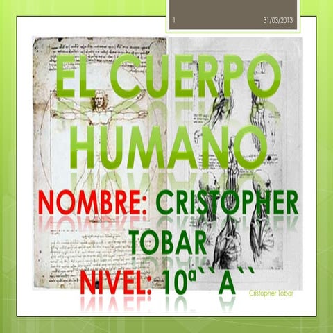CRUCIGRAMA DEL CUERPO HUMANO | PDF