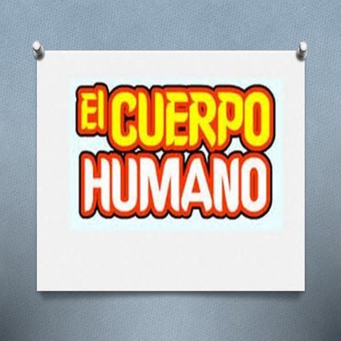 Conociendo nuestro cuerpo (power point) | PPT
