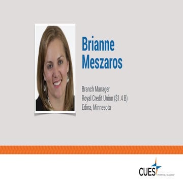 Brianne Meszaros 2014 CUES Next Top Credit Union Exec Presentation | PDF