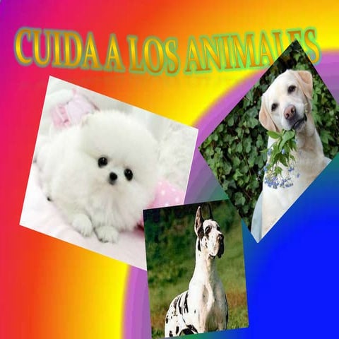 Cuidado de tu cachorro | PPTX