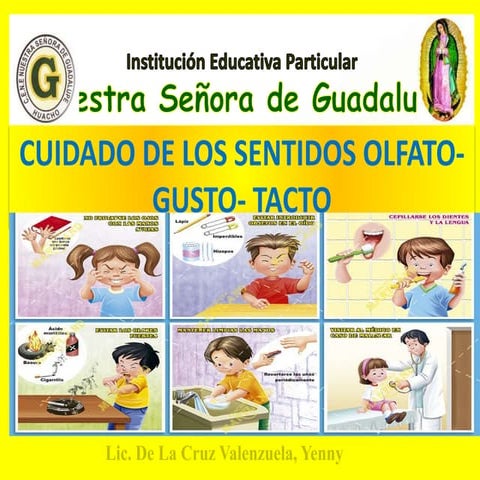 Cuidados Del Sentido Del Tacto