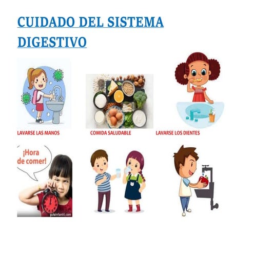 Mapa conceptual de alimentos | PPT