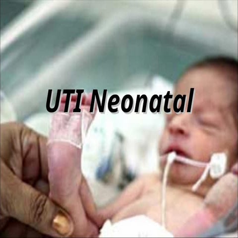 Cuidados integral ao Recém Nascidona UTI NEONATAL | PPT