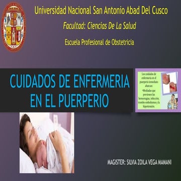 Clasificacion Y Etapas De Puerperio Pptx