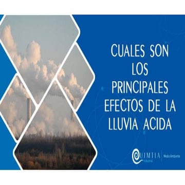 Cuáles son los principales efectos de la lluvia ácida | PPT