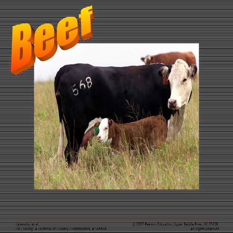 Beef Powerpoint On Cooking Labensky Textbook | PPT