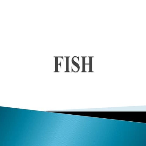 Culinary lecture (fish) | PPTX | Fish and Aquariums | Pets