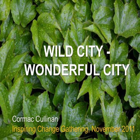Wild City - Wonderful City | PPTX