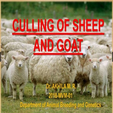 Culling of sheep and goat | PPTX
