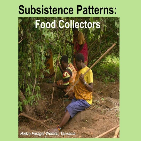 Cult anth lecture subsistence pt 1 | PPT