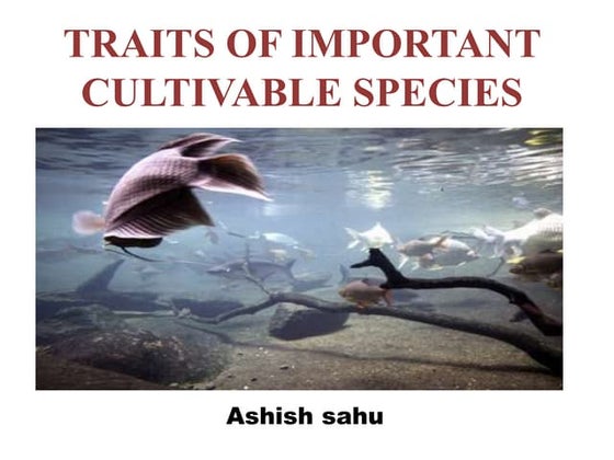 Morphology of a Type Fish Rahu, Singhari, Sole, Mahseer, Trout.pptx