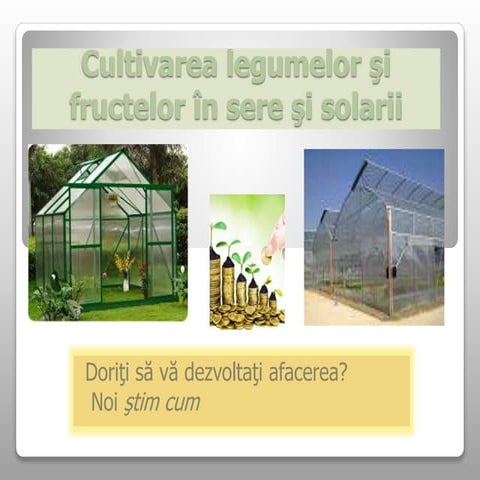 Cultivarea legumelor şi fructelor în sere şi solarii | PPTX