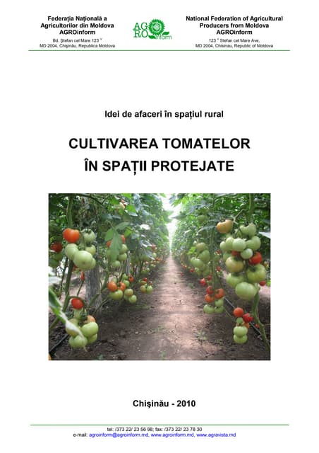 Tehnologie cultivare usturoi | PDF