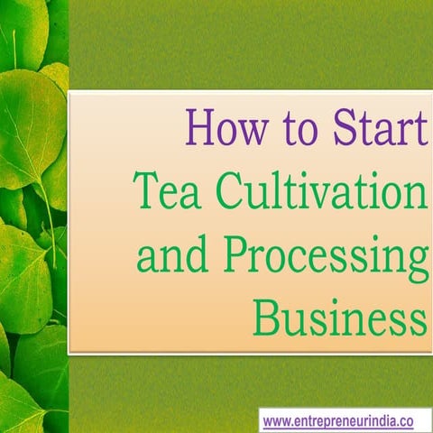 How to Start Tea Cultivation and Processing Business | PPTX | Gardening ...