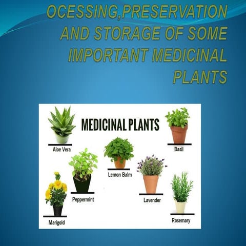 Cultivation,collection,processing,preservation and storage of medicinal ...