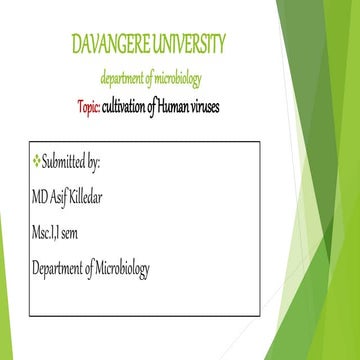 Cultivation of human viruses and its different techniques. | PPTX