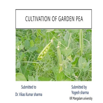 cultivation of Garden pea | PPTX