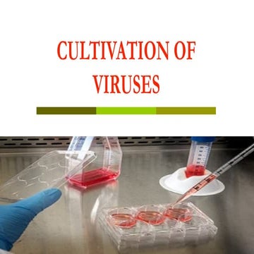 CULTIVATION AND IDENTICATION OF VIRUSES.pptx