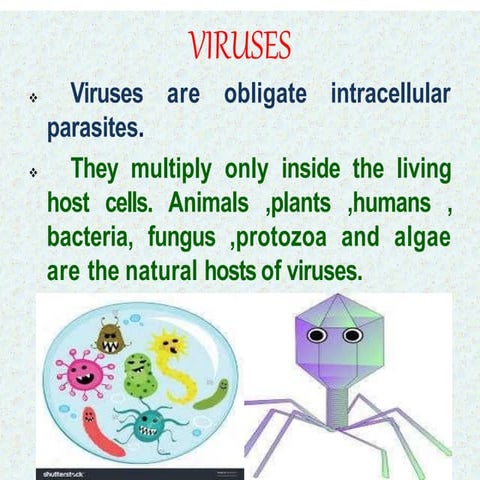 Cultivation of virus | PPTX