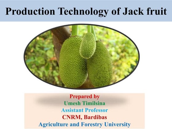 Production Technology of Bottlegourd | PPTX | Gardening | Home & Garden