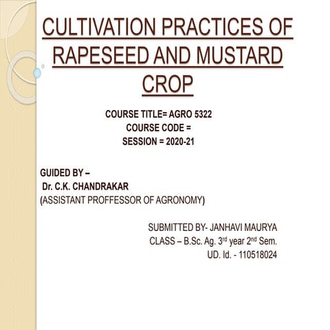 Cultivation practices of rapeseed and mustard crop ppt | PPTX