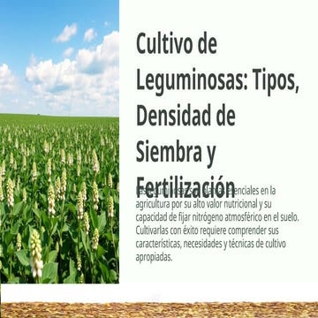 gramíneas y leguminosas tipos y diferencias | PPTX